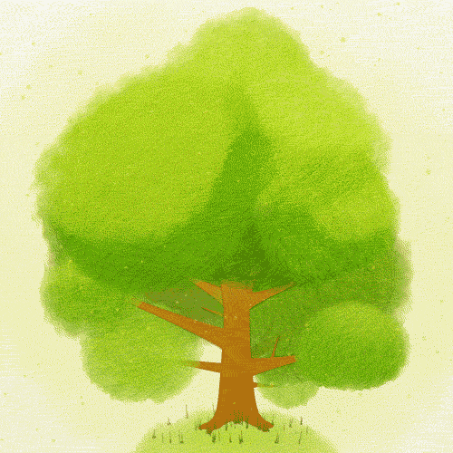 BBC Radio 4 PM – The Power of Trees - Cribble Cribble